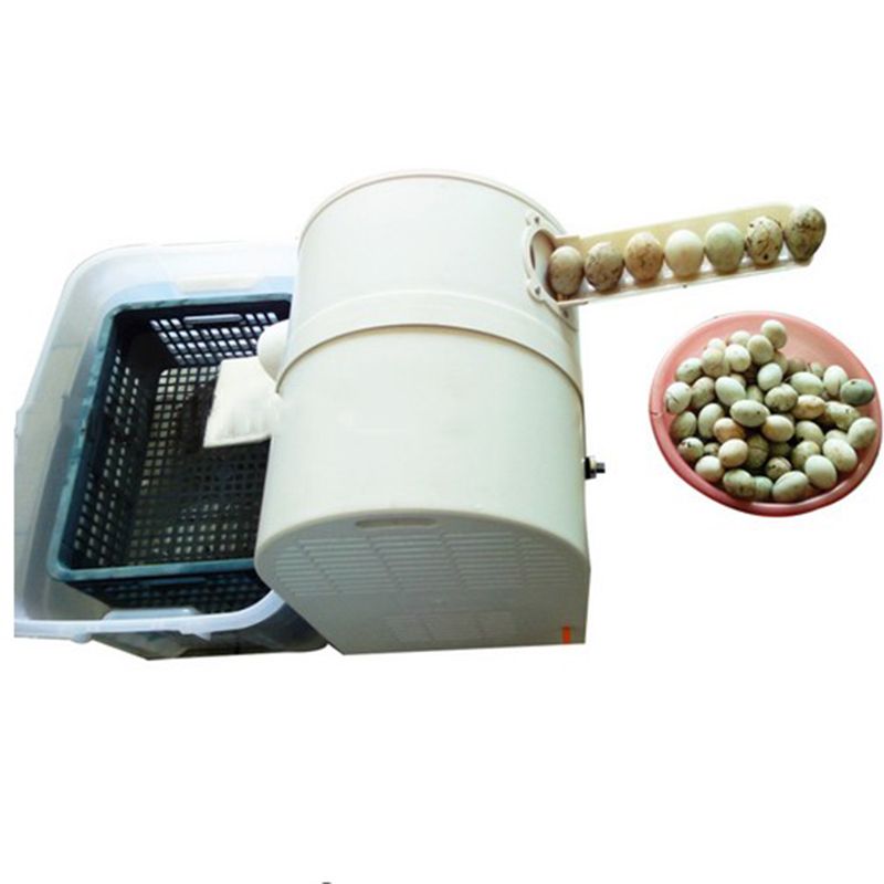 2021 Low Price Industrial Egg Washer And Cleaner/Economic Duck Egg ...