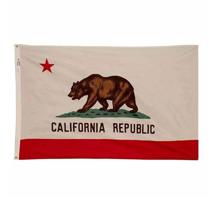 2020 California Flag State Of USA Banner 3x5 FT 90x150cm Festival Party ...