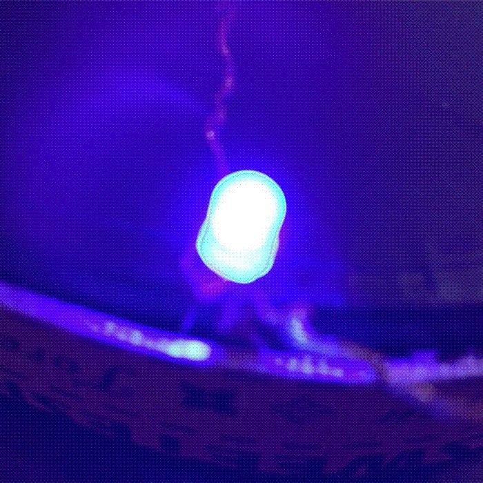 Best Uv Led Ultraviolet Diode Leds 3mm Uv Led Diode 3 Mm Diodes Lamp ...