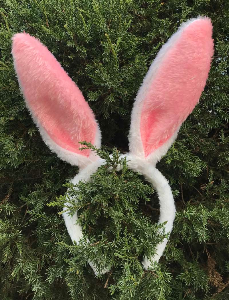 Lovely Bunny Ears Headbands Various Colors Choices Furry Rabbit Ears ...