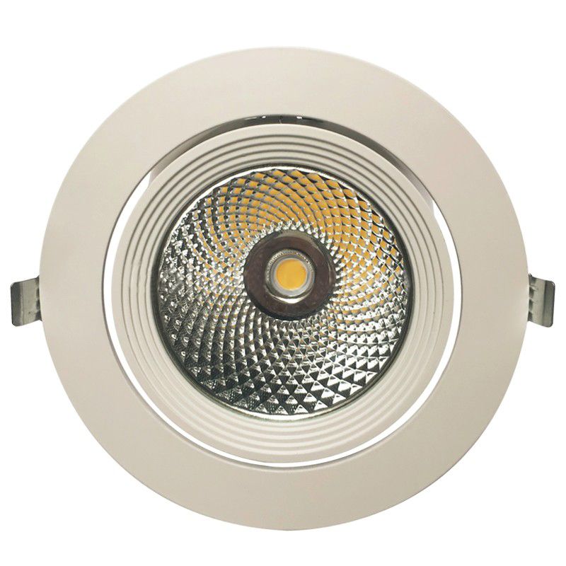 Dimmable LED Downlights 30W Ceiling Recessed Down Light Adjustable ...