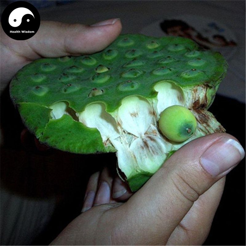 2018 Buy Fruit Lotus Seeds Water Plant Grow Nelumbo Nucifera Gaertn ...