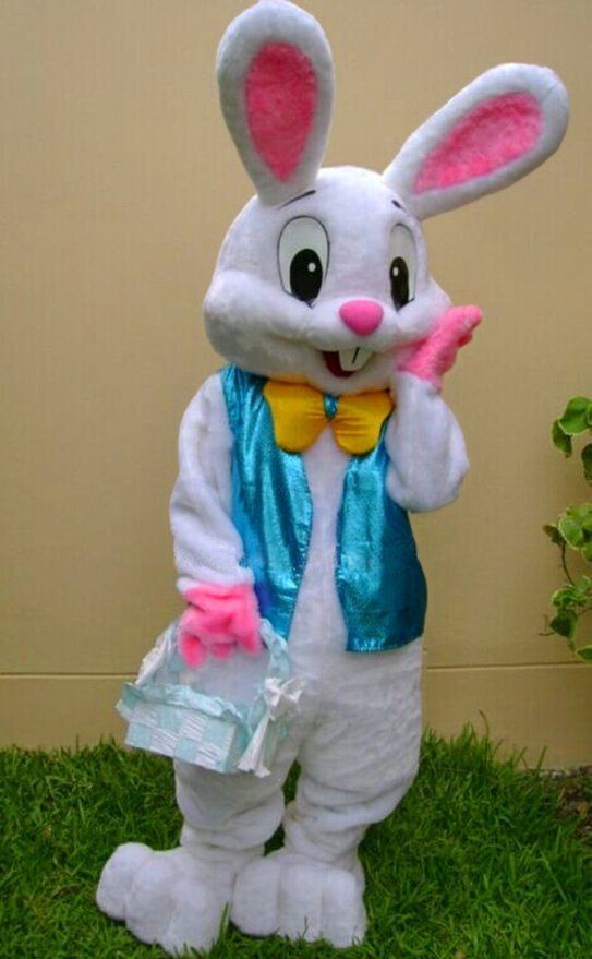 PROFESSIONAL EASTER BUNNY MASCOT COSTUME Bugs Rabbit Hare Adult Fancy ...