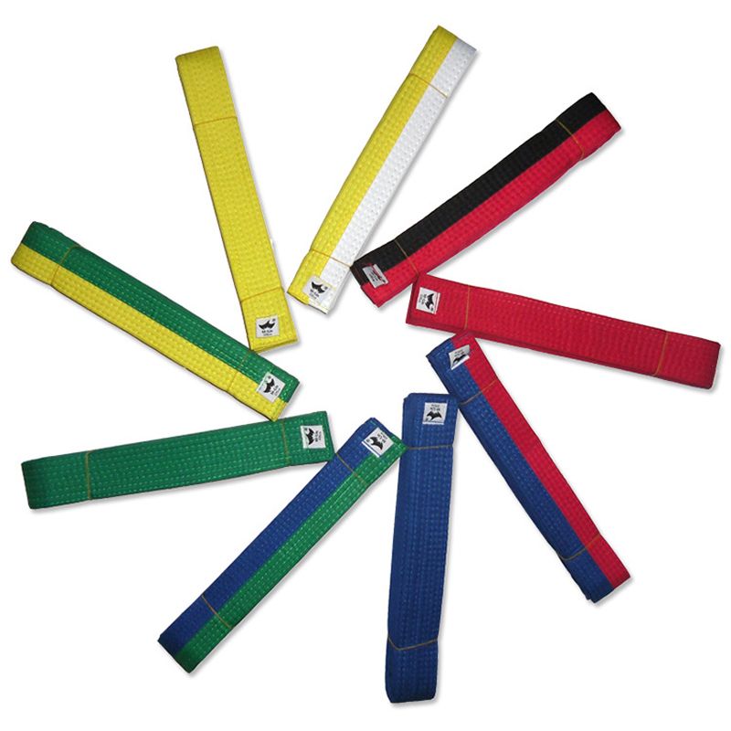 Unisex Martial Arts Training Belts Karate And Judo Practice Waistband ...