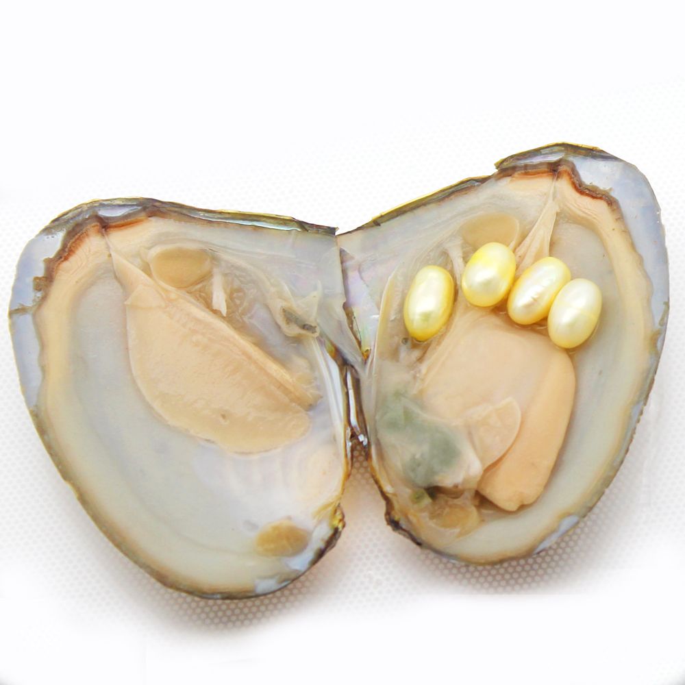 2020 Party Surprise Gift Of Natural Freshwater Pearl Oysters 6 8mm4 #7 ...