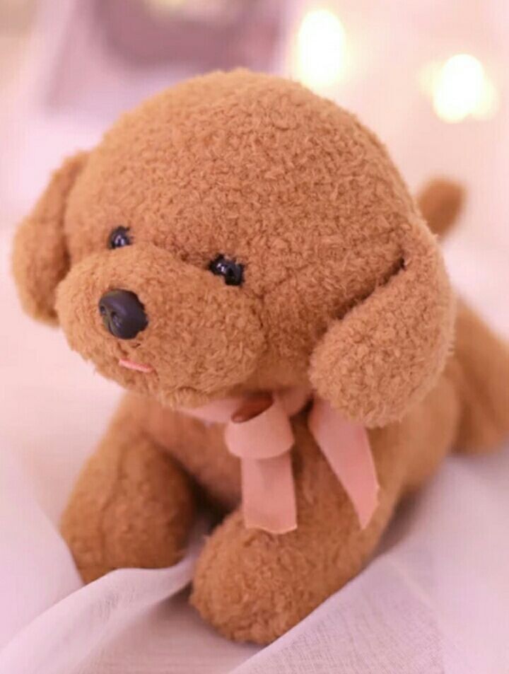 Compre Teddy Dogs Lindo Regalo Nueva Llegada Cosas Suaves Juguete Niños ...