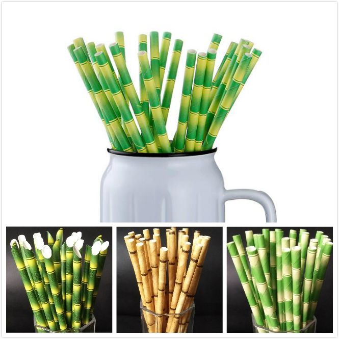 Biodegradable Bamboo Paper Straw Bamboo Straws Eco Friendly A Party Use ...