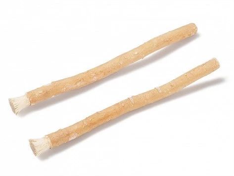 2021 Miswak Toothbrush Authentic Plant Toothbrushes Miswaks Branches ...