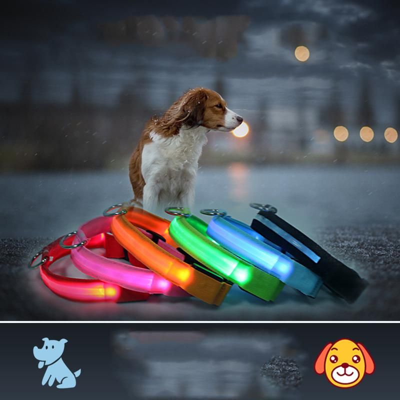 2019 LED Dog Leash LED Dog Pet Collar Colorful Light Flashing Luminous ...
