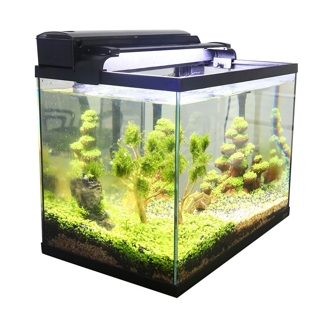 6.8 Gallon/12 Gallon 3 In 1 Aquarium Kit With Glass Fish Tank, Filter ...