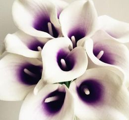 Fleurs De Lis Calla Bleu Distributeurs en gros en ligne, Fleurs De Lis ...