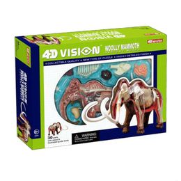 4d Master Models Online Shopping | 4d Master Models for Sale