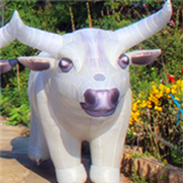 2020 Inflatables Funny Inflatables Inflatable Bull Suit Inflatable ...