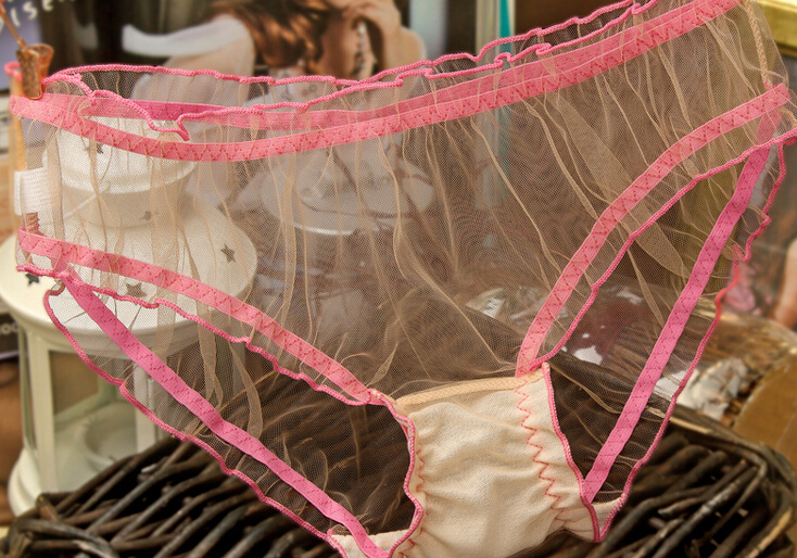 Womens Panties Online Sale Sexy Sheer Briefs Women Girl Gauze Lace