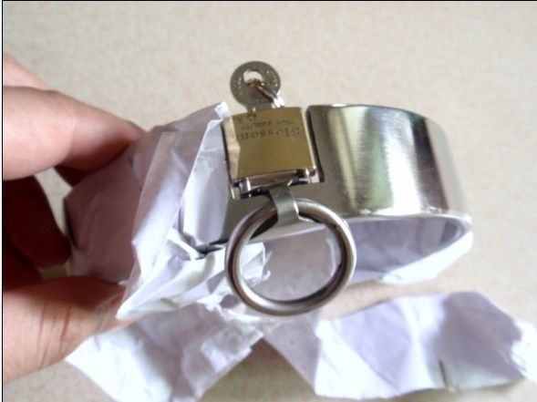 Female Stainless Steel Size 12cm Plum Lock Collar Dog Collars Plum Lock ...