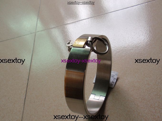 Stainless Steel Female Stainless Steel Collar Lovely Collar From ...