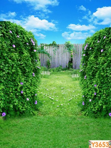 2017 Vinyl Outdoor Scenery Custom Photography Prop Photo Background ...