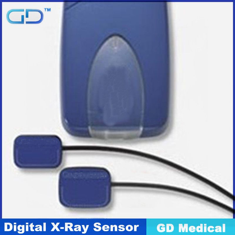 BEST PRICE X Ray Sensor/Dental Digital X Ray Sensor/Dental X Ray Sensor ...