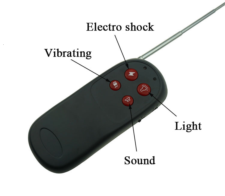 Adult Diary Remote Control Electric Shock Vibrating Penis Ring ...