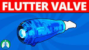 Everything You Need to Know About Flutter Valve for Effective Shopping