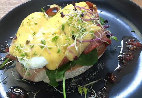 Unleash Your Inner Chef with Taste Buds Kitchen A Guide to Culinary ...