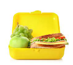10 Easy and Healthy Packed Lunch Ideas for Busy Professionals