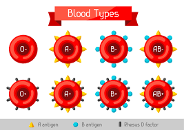 Why O Positive Blood Types Should Look for These Shopping Deals?
