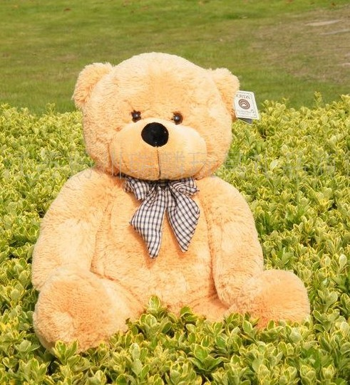 Blog Question Where to Find the Best Teddy Bear Pictures for Collectors ...