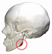 How to Improve Your Appearance by Understanding Your Gonial Angle