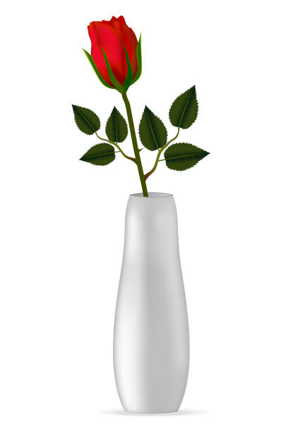 10 Best Vases for Roses to Elevate Your Home Decor