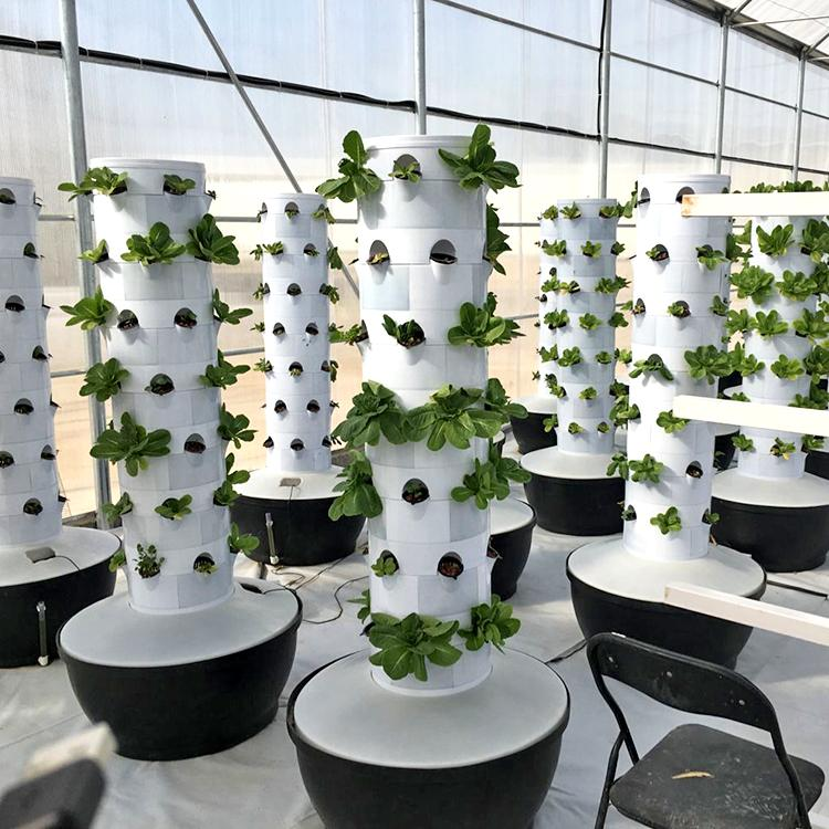 Hydroponics Grow Systems 101 Everything You Need to Know