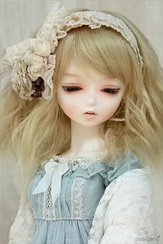 Ultimate Guide to Choosing and Collecting SD BJD Dolls