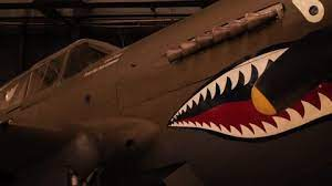 How to Travel in Style with a Shark Airplane?