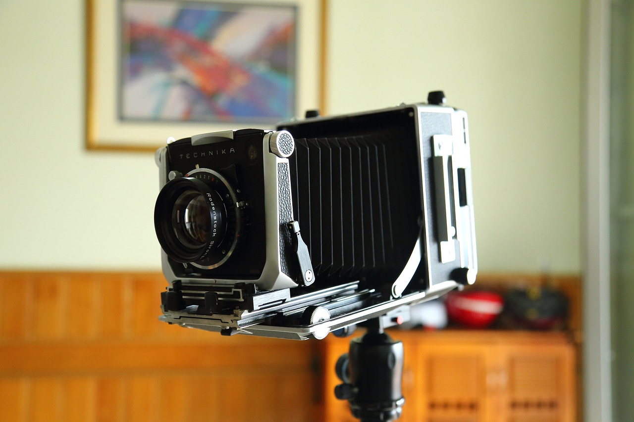 Zoom Flash The Ultimate Guide to Capturing Photos Like a Pro