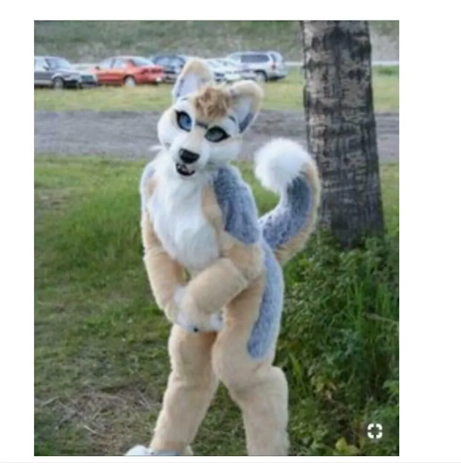 Furry Husky Chien Plié Jambes Furseuit Mascotte Costume Fausse ...