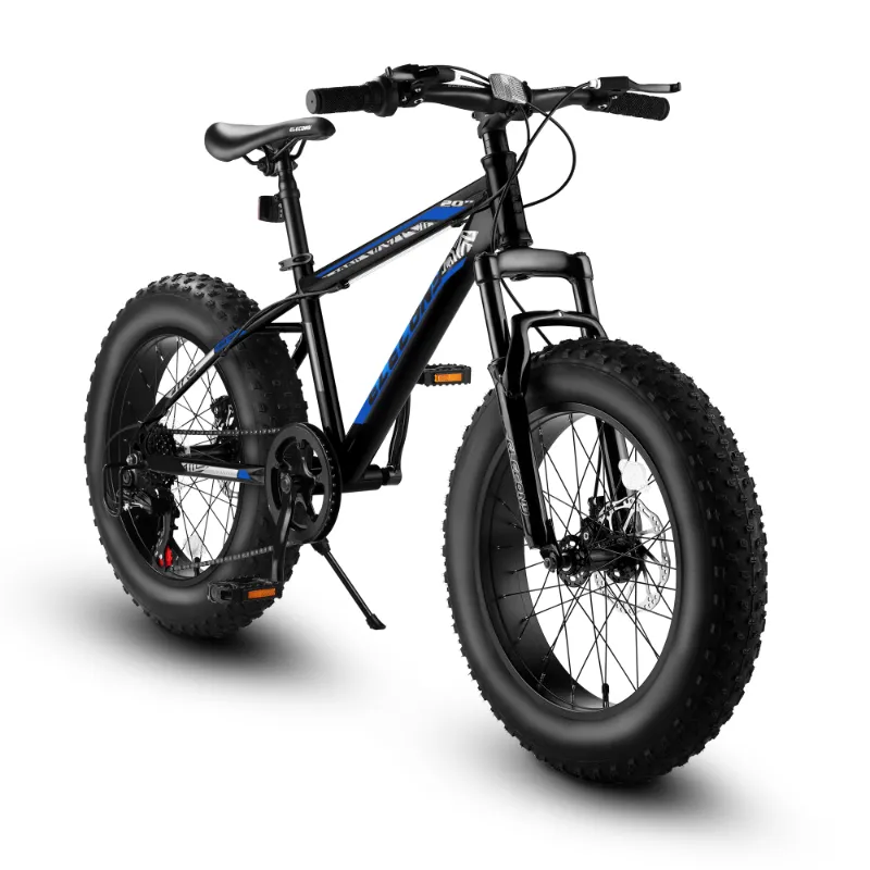 Vtt Fat Bike 24 Pouces | ppgbbe.intranet.biologia.ufrj.br
