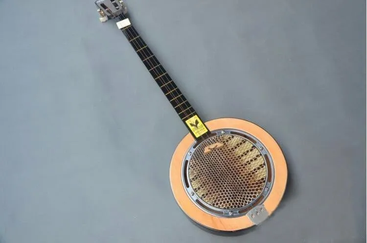 Chinese Sanshin Shamisen Beginner Oldest Musical Instrument In ...