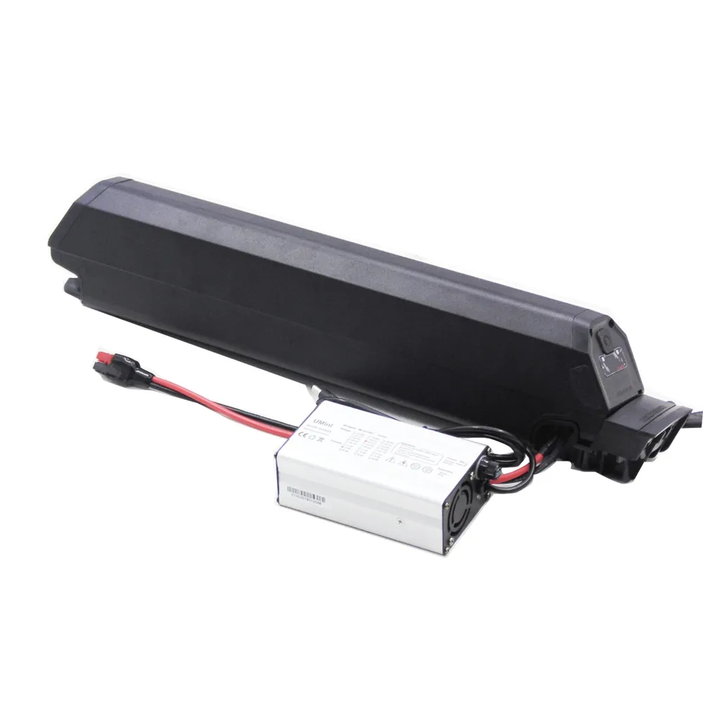 48V Battery Ebike Pack EU / US Pas De Taxe Dorado ID + Case De ...
