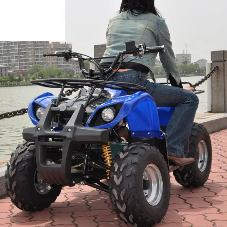 48V Electric ATV - Off-Road Fun! Beach & Trail Riding, Small Bull ...