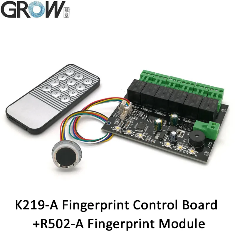 DHgate 최신 트렌드 상품: 지금 바로 구매하세요