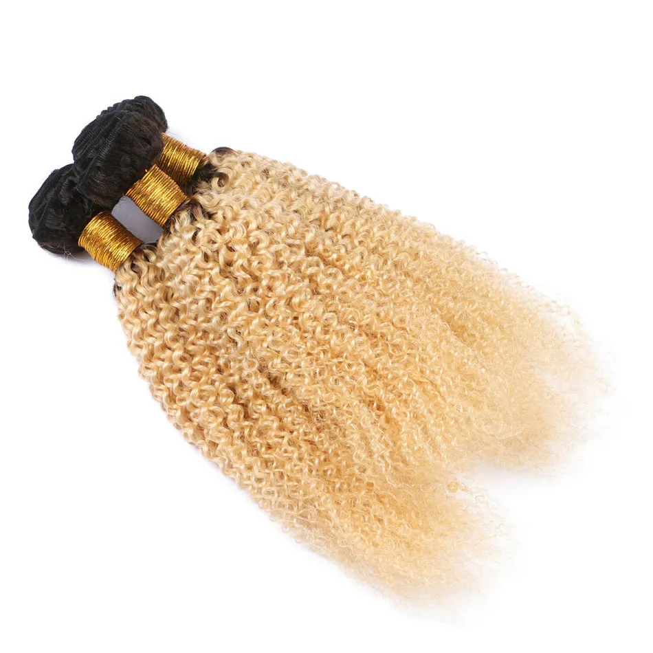 DHgate.com:2-Tone Blonde Kinky Curly Virgin Brazilian Hair Weave: 3 ...