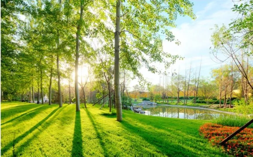 Wallpaper Scenery Picture Features Nature Wallpaper Images Free