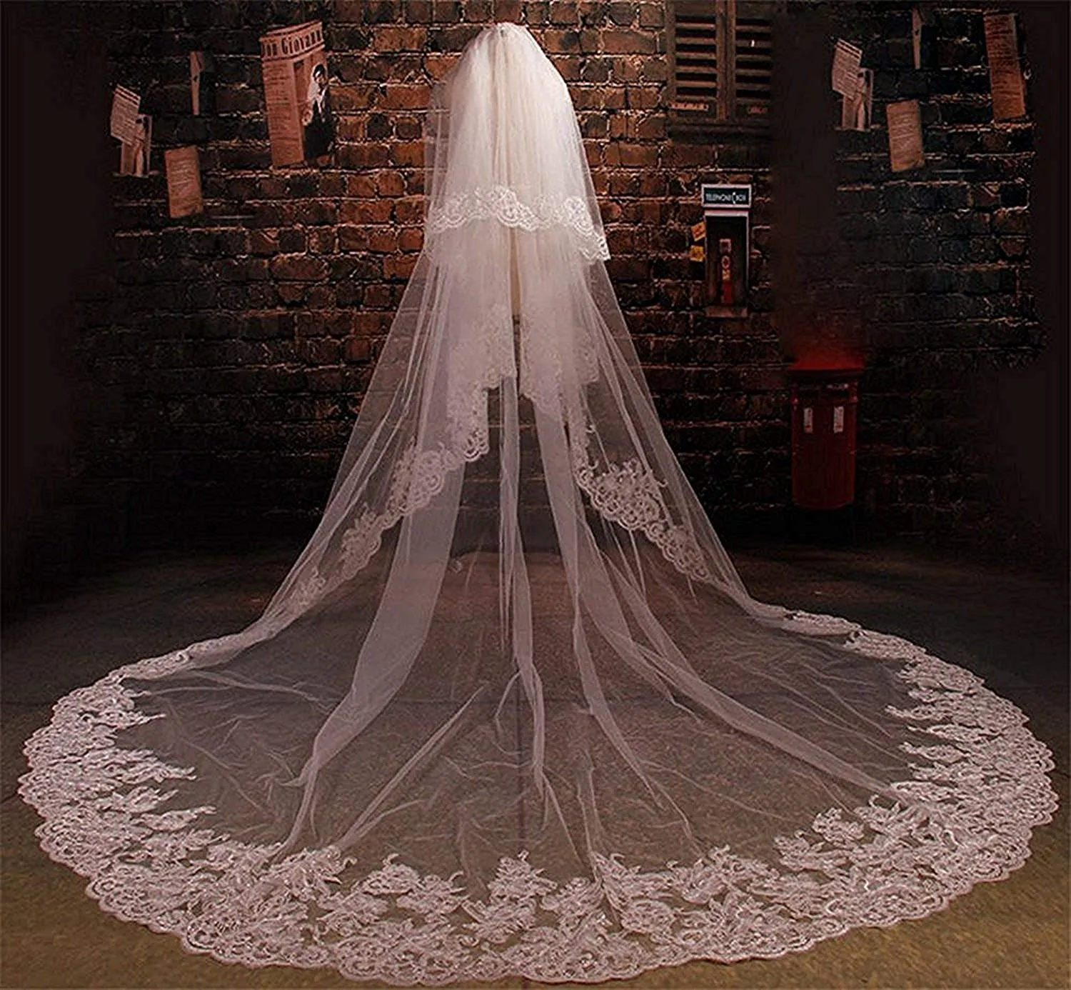 Elegant Cathedral Wedding Veil: Long Lace Edge Bridal Veil With Comb, 2 ...