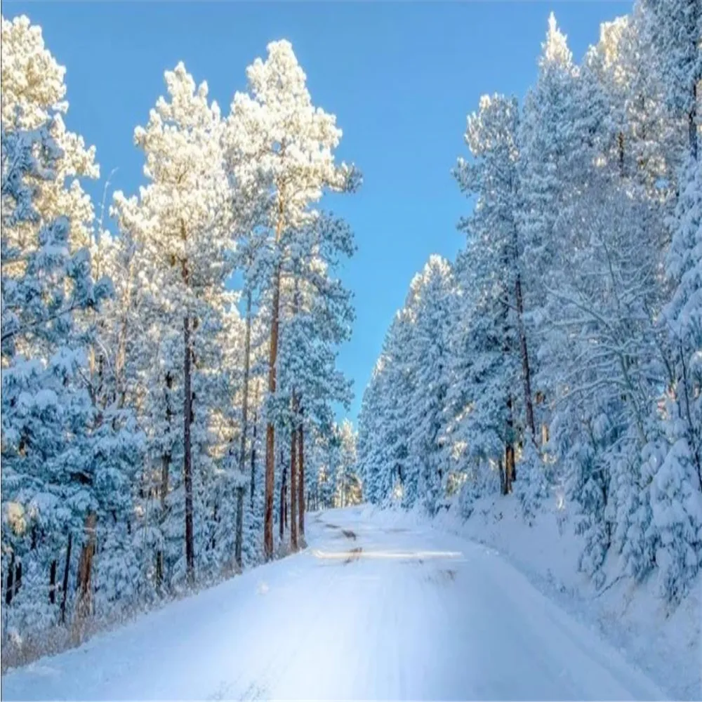 Winter Snow Scenes Wallpaper