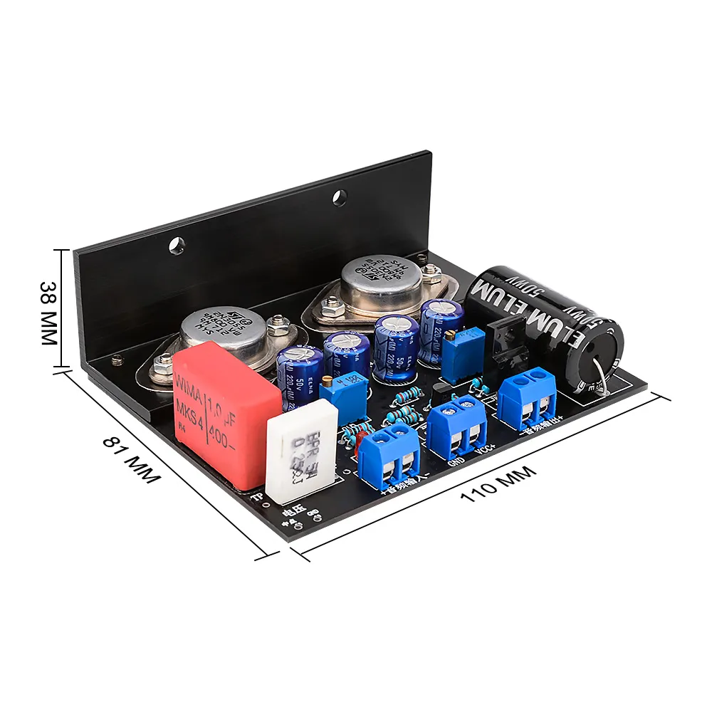 1 Amplifier Board Dual Audio Amplifier Board Kit, Class A, 10W Pure ...