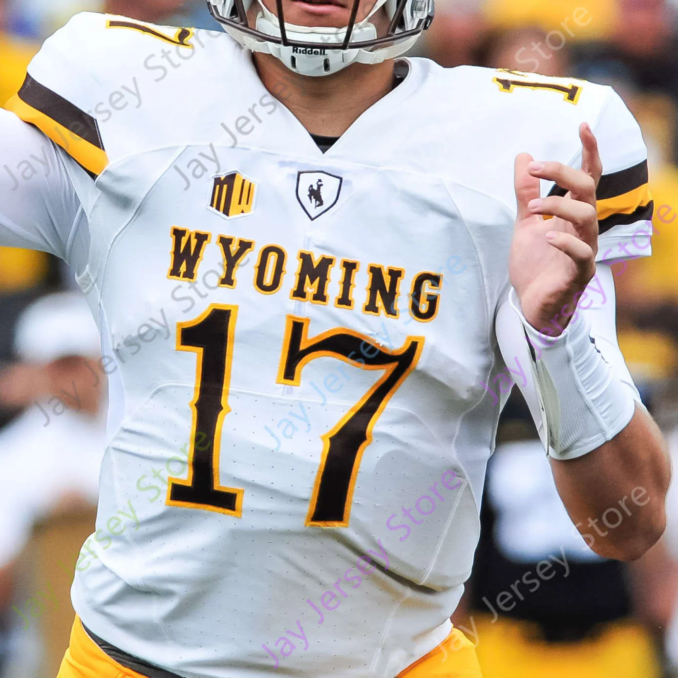 NCAA College Wrestling Personalized Football Jersey Featuring Josh ...