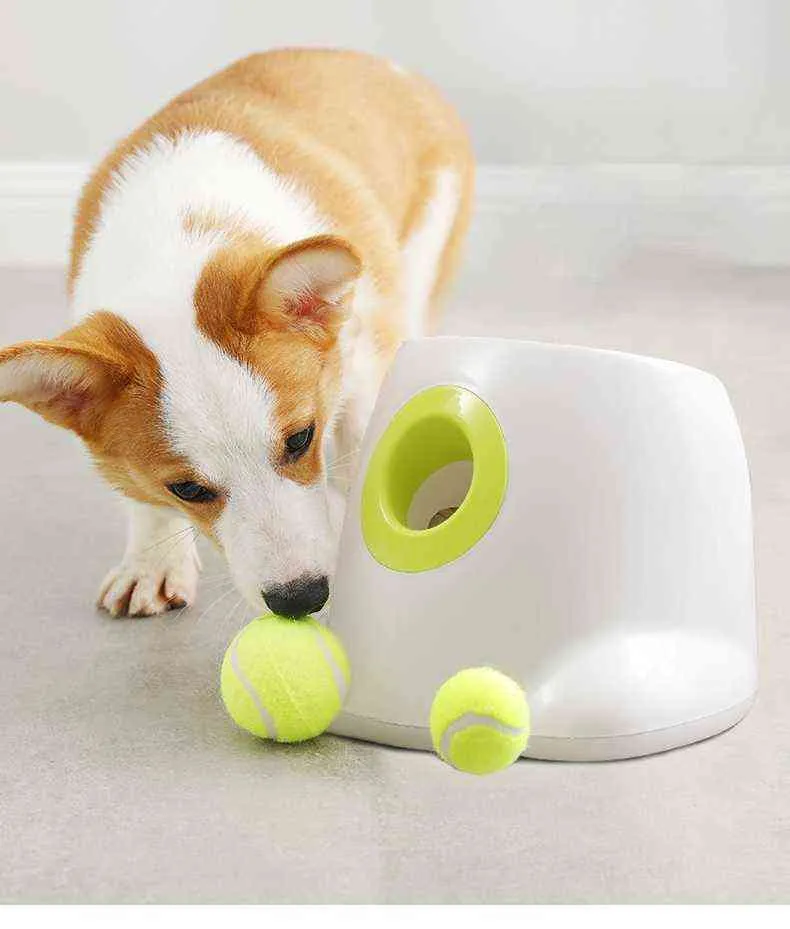 Catapult For Dogs Automatic Ball Launcher Tennis... From Mengyang09 ...