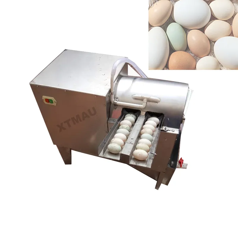 Automatic Chicken Waterer & Egg Washing Machine: Double Row Egg Cleaner ...