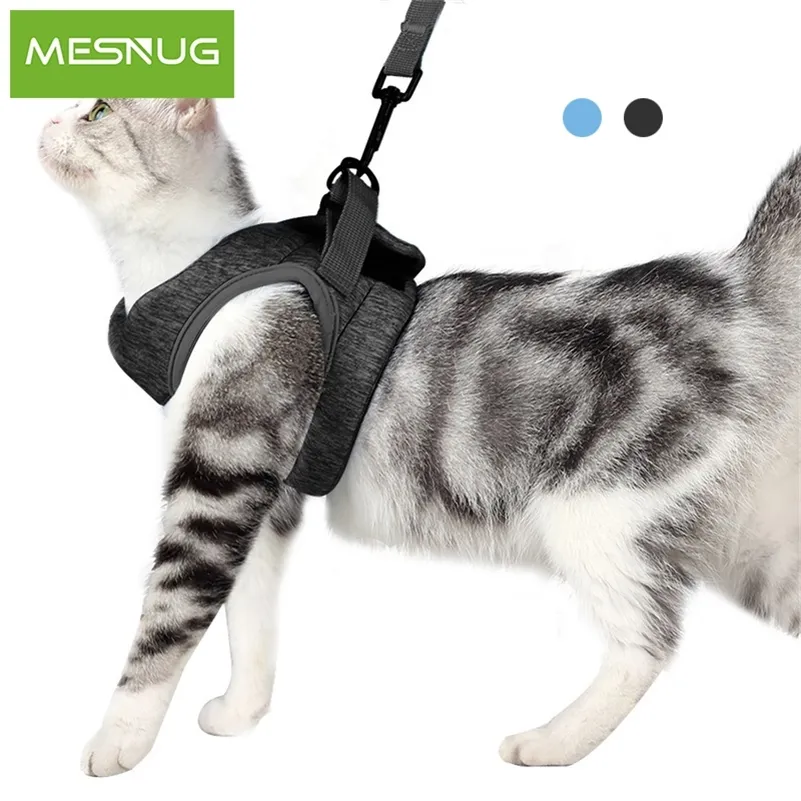 MESNUG Lightweight Cat Harness with Soft Elastic Straps and 360-Degree ...