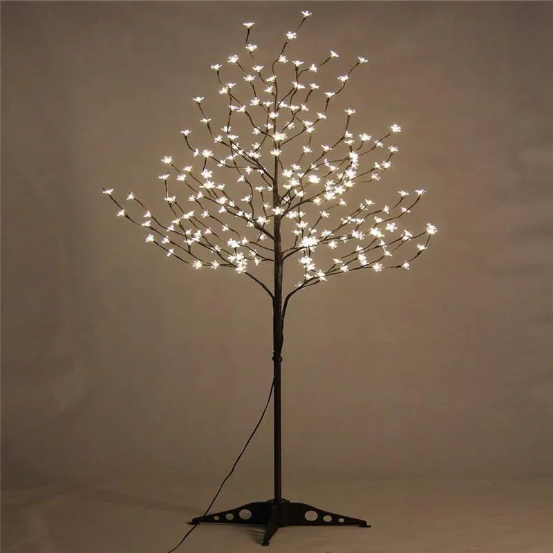 Lighted Outdoor Trees And Luminarias